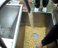 China Maximize Your Manufacturing Plant's Output with Rice and Grain Washing Machine Equipment for sale