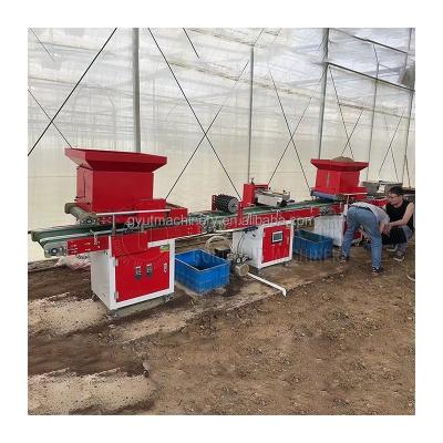 China 7 Rows Vegetable Tray Seeding Machine for Good Economic Benefits and Easy Operation for sale