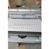 China 0.55-0.7ha./day Working Efficiency Vegetable Seed Planter Suitable for Tomato Seeding for sale