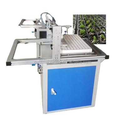 China Automatic Lettuce Seeding Machine for Planting Industry Nursery Equipment and Standard for sale