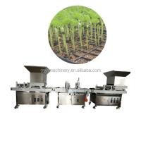 China Automatic Lettuce Seeding Machine for Planting Industry Nursery Equipment and Standard for sale