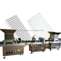 China Farms Power Vegetable Seed Sower Machines for Working Efficiency 0.55-0.7ha./day for sale