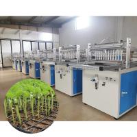 China 600*700*800mm Pneumatic Cucumber Seed Planting Machine for Fast and Accurate Seeding for sale