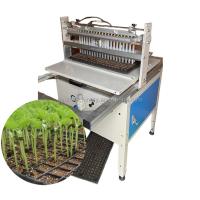 China 200 KG Seedling Planter Machine Perfect for Planting Cabbage Basil Fennel and Lettuce for sale