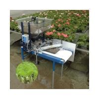 China Hydroponic Sponge Media Microgreen Sower Machines with Top-Performing Chili Seed for sale