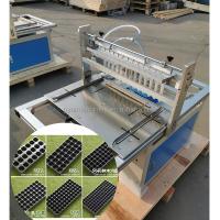China Farm Nursery Seedling Machine for Automatic Vegetable Seeding in Manufacturing Plant for sale