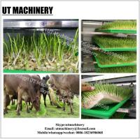 China Bean Roots Processing Equipment for Daily Water Consumption of 3m3 Sprouts Production for sale