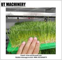 China 2400w Hydroponic Bean Growing SproutS Machines for Broccoli Super Sprouting within PLC for sale