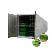 China Container Type Wheat Seed and Barley Grass Sprouting Machine for Manufacturing Plant for sale
