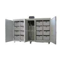 China Maximize Fodder Production with High Productivity Hydroponics Microgreen Grow Machines for sale