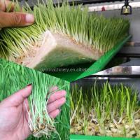 China Fully-Enclosed Green Animal Fodder Making Machine 1.5 Tons Capacity for Performance for sale