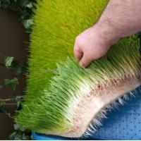 China Top-Notch Microgreens Vegetable Growing Hydroponics Machines for Machinery Repair Shops for sale