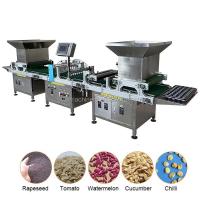 China Automatic Vegetable Seed Planting Line for Seeding Lettuce and Other Seeds for sale