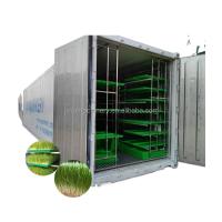 China Innovative Hydroponic Feed Growing System for Raising Cattle and Sheep Weight KG 1200 for sale