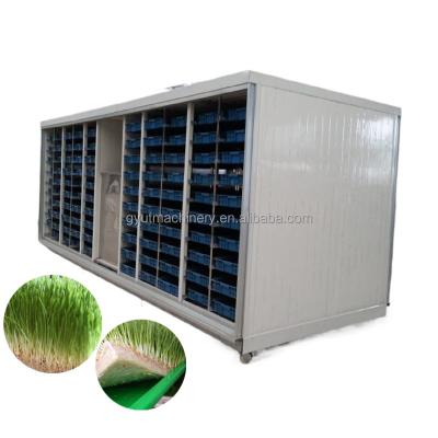China 40HQ Container Hydroponic Fodder System Automated Barley Grass Growing for Livestock for sale