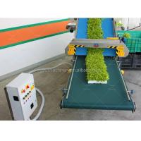 China Easy Operation Mini Automated Microgreen and Baby Leaf Lettuce Tray Harvester Machines for sale