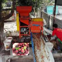 China Coffee/Cocoa Beans Peeling Machine for Industrial Production at 910*730*1265mm Size for sale