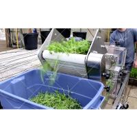 China Coffee Bean Washing Harvester Machine with Small Capacity and WeChat 008618236968979 for sale