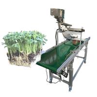 China 8 Rows Drum Seeder for Doumiao Planting Machines in Vegetable Nursery Full Seeding Line for sale
