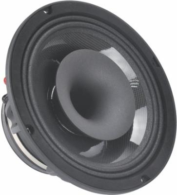 China 10 Inch Neodymium Coaxial Speaker 300W RMS 4 Ohm 96.1dB High Sensitivity Pro Audio for sale