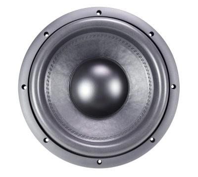 China 10 inch Double Ferrite Magnet Subwoofer 800W RMS Dual 2 4 Ohm 2.5 Voice Coil 84.8dB for sale