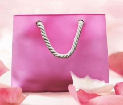 China Custom Logo Printing beach tote Silicone Household Items for sale