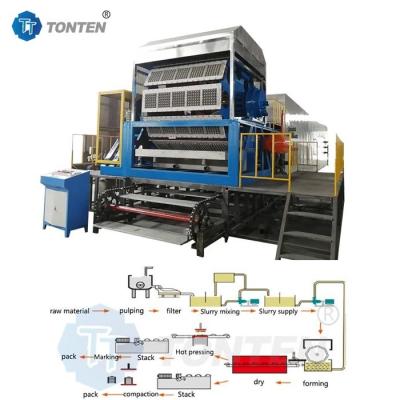 China Pulp Molding Egg Tray Machine Egg Tray Production Line Paper Forming Machine for sale