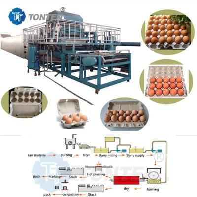 China Paper Pulp Molding Egg Tray Making Machine Line Recycling Paper Forming Machine for sale