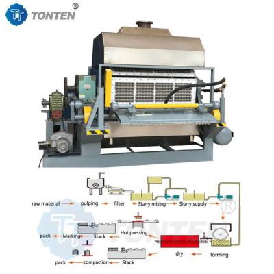China Paper Pulp Molding Machines Egg Tray Fruit Tray Disposable Tableware for sale