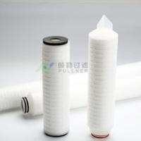 China Beverage Pharmaceutical High Flow PES Filter Cartridge 10
