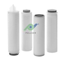 China Beverage Pharmaceutical PES Filter Cartridge 10