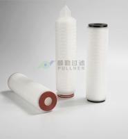 China Sterilizing Grade Microelectronics PP Pleated Filter Cartridge High Dirt Holding Capacity for sale