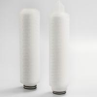 China PTFE Membrane Filter Cartridge with Hydrophobic and Hydrophilic PTFE Membrane for Corrosion Resistant Filtration for sale