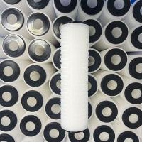 China 10inch All-Fluoropolymer PFA Filter Cartridge with Chemical Corrosion Resistance for Industrial Applications for sale