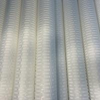 China Asymmetric PES Membrane Filter Cartridge with 0.02μm Ultra High Precision and Chemical Resistance for Industrial Applications for sale