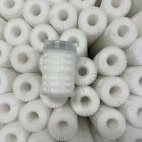 China PP Capsule Filter for Water Treatment with Customizable Micron, Standard NPT Interfaces and Polypropylene Construction for sale