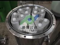 China ISO certified SS304/316L Multi-Cartridge Filter Housing for RO Pretreatment & Industrial Water Treatment for sale