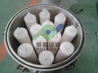 China ISO certified SS304/316L Multi-Cartridge Filter Housing for RO Pretreatment & Industrial Water Treatment for sale