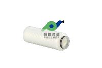 China 20-inch Ultra-High Purity Filter Cartridge with 1.5 nm Filtration for G4 Semiconductor Photoresist for sale