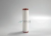 China Food Beverage Membrane Filter Cartridge 0.22um 10