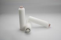 China PPL PP Pleated Filter Cartridge  2.7