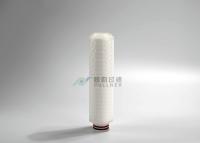 China 0.7m2 Area Hydrophilic PFA Fluorine PTFE Membrane Filter Cartridge for sale