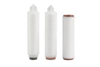 China PES Membrane Filter Cartridge Replacement 20
