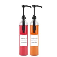 China Good Quality Food Syrup Pump Syrup Plastic Bottle Pump Syrup Dispenser for sale