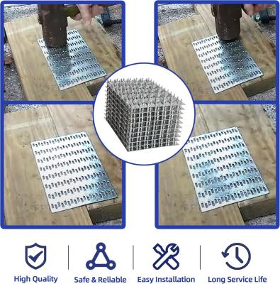 China Gang Nail Plate Fastener for Timber Roof Truss & Wood Framing Connector for sale