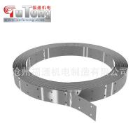 China Pipe Support Galvanized Pipe Hanger Strap Metal Strapping with Hole Flexible Trimming for sale