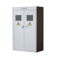China Heavy Duty Gas Cylinder Cabinet All Steel Gas Bottle Storage Cabinet Corrosion Proof for sale