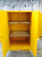 China Double Door Lab Safety Cabinet Industrial Flammable Safety Cabinet Fireproof for sale