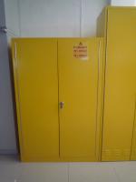 China Double Door Lab Safety Cabinet Industrial Flammable Safety Cabinet Fireproof for sale