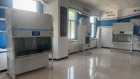China Modern Lab Safety Cabinet All Steel Class II Biosafety Cabinet Corrosion Proof for sale